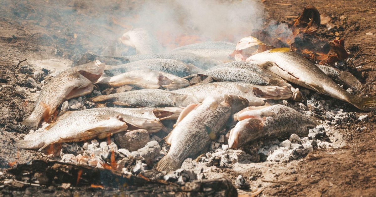 Kakadu Tourism | Discover 9 Different Kakadu Bush Foods