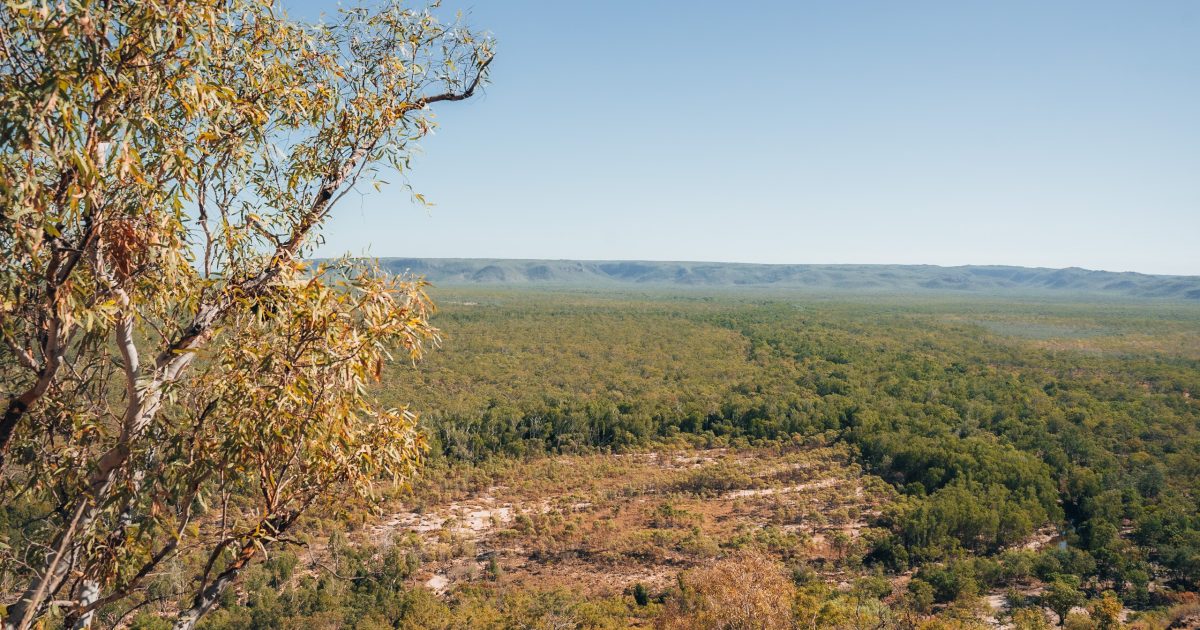 Kakadu Tourism | Mirray Lookout