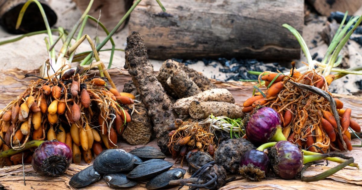 Kakadu Tourism | On Country in Kakadu & Travels with a Healthy Gut